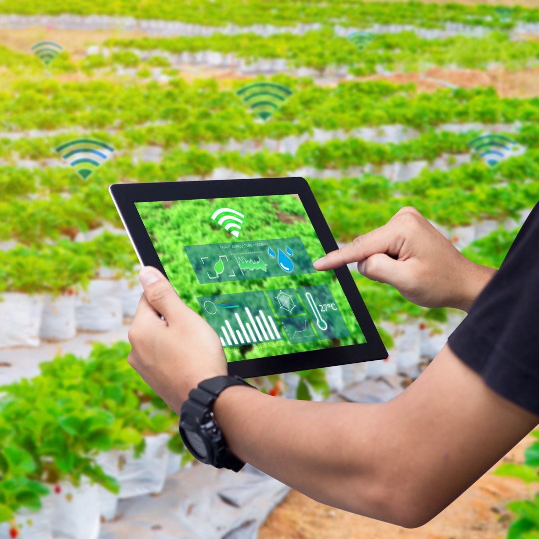 Digitális szenzorok | Fóliavezérlés